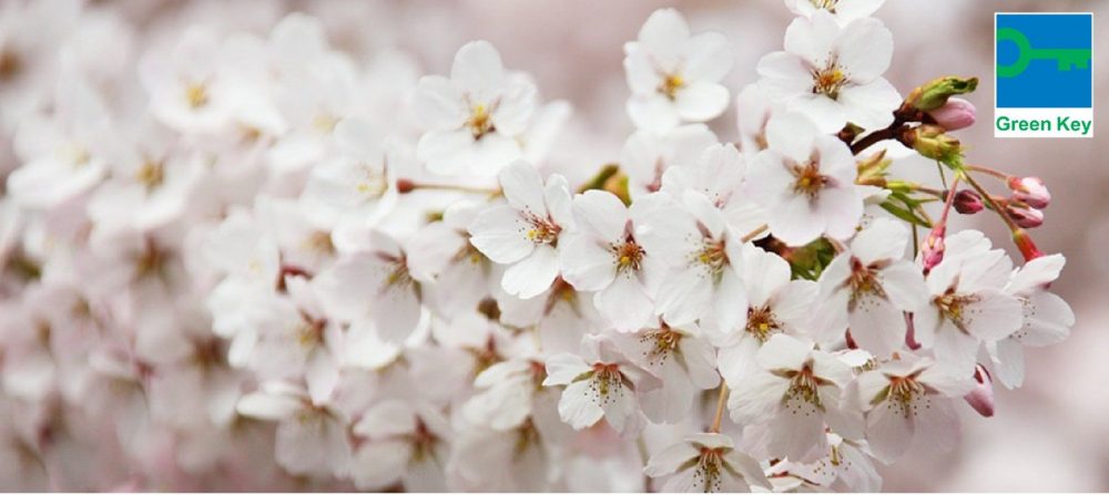 We're proud on the Green Key sustainability certification.